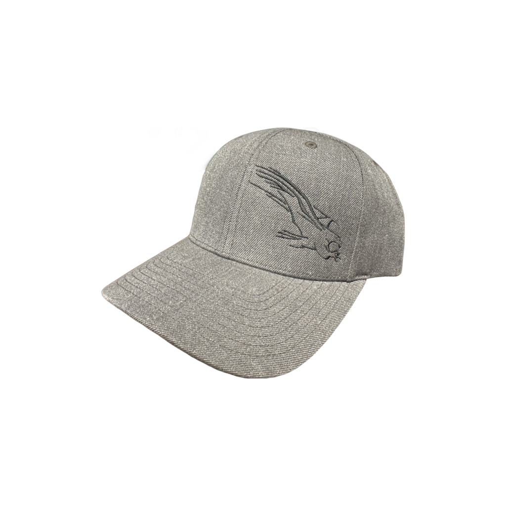 Independence Training Hat – Independence Training